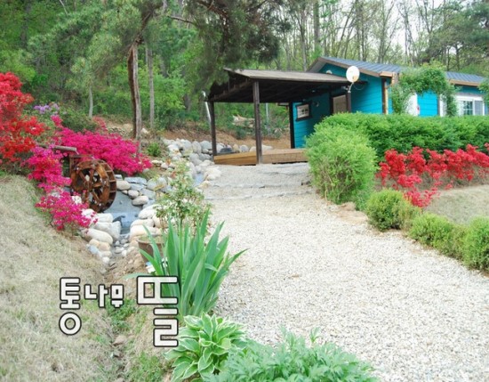 마당예쁜집 마당정원으로 정원꾸미기 마당예쁜집 만들어보세요 네이버 블로그